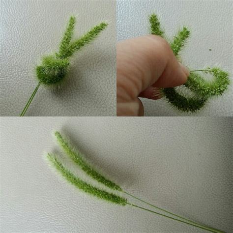 강아지풀 토끼 만들기 네이버 블로그