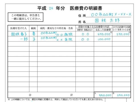 実践！確定申告a様式の記入（医療費控除の場合） [確定申告] All About