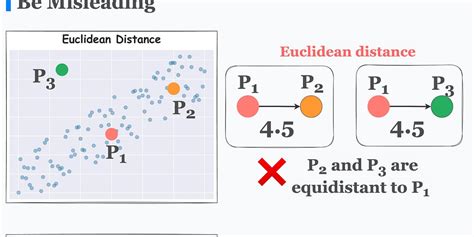 What Makes Euclidean Distance A Misleading Choice For Distance Metric