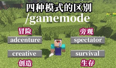 我的世界萌新经常遇到的六个问题，“一叶障目”为何不能透视