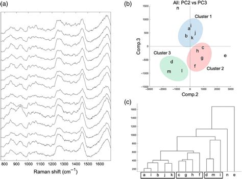 A Mean N ¼ 42 Spectra Raman Spectra Obtained From Cartilage Tissue