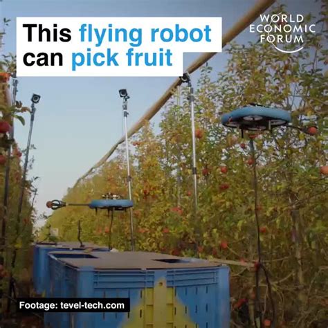 Shruti Patel On Linkedin Artificialintelligencenow