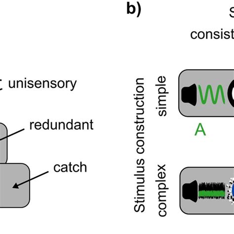 Experimental Design A Redundant Signals Paradigm Participants Download Scientific Diagram