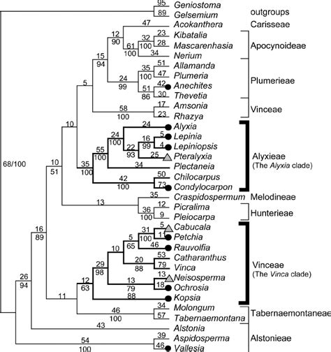 The Single Most Parsimonious Tree Found In The Total Combined Analysis