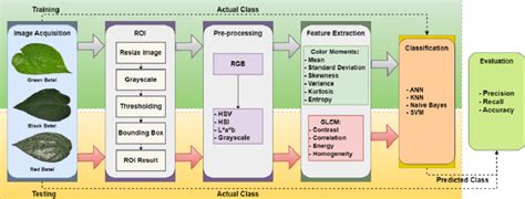 Proposed Method Of Betel Leaf Classification Download Scientific Diagram