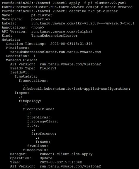 Cli Tools Implementing Dell Powerflex With Vmware Tanzu Dell