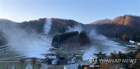 기온 뚝 강원 스키장 인공눈 뿌리며 개장 준비 한창 나무뉴스