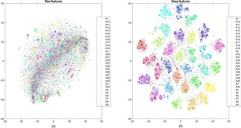 T‐sne Projection Of A Raw Features And B Deep Features Extracted