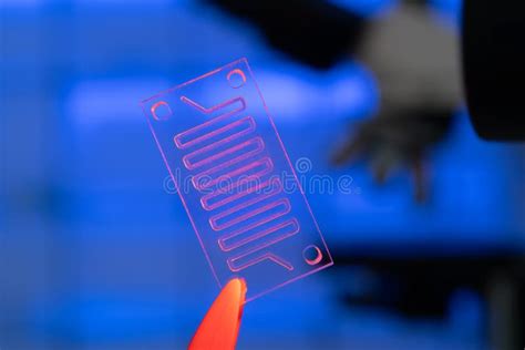 Lab On A Chip Microfluidics Device Stock Image Image Of Biotechnology Deoxyribonucleic