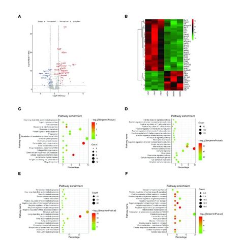 Transcriptomic Analyses Suggested That Aerobic Exercise Ameliorated