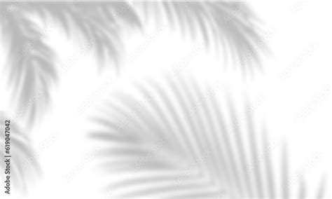 realistic palm leaves shadow sunshade dynamic blow 3d render png