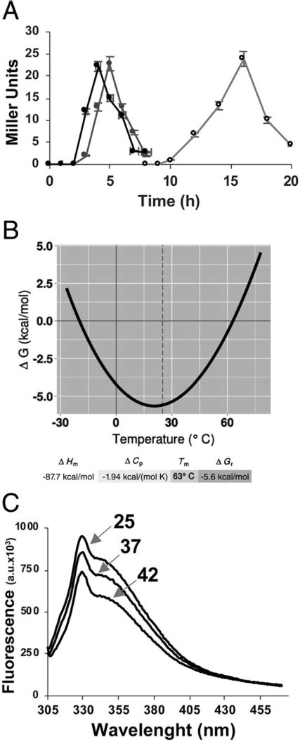 Production And Stability Of CotH At And C A Expression Of A Download Scientific