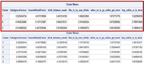 Joaquin Ramirez Market Segmentation Dr Pepper