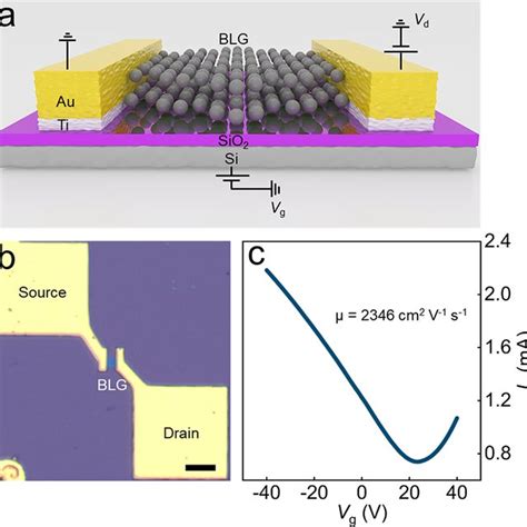 Electrical Measurement Of A Back Gate Fet Device Based On Blg Single Download Scientific