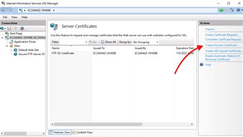Installing A Secure FTP Server On Windows Using IIS