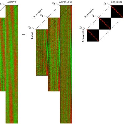 Higher Order Generalized Singular Value Decomposition Ho Gsvd In Download Scientific Diagram