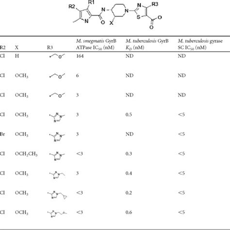 Structure Activity Relationship A Download Table