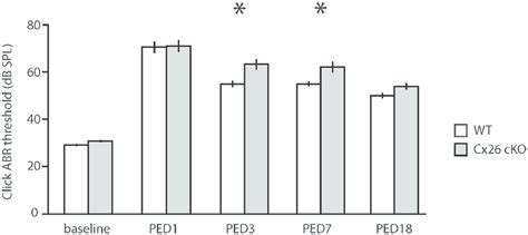 Noise Induced Threshold Shift In Cx26 Cko Mice Click Abr Thresholds