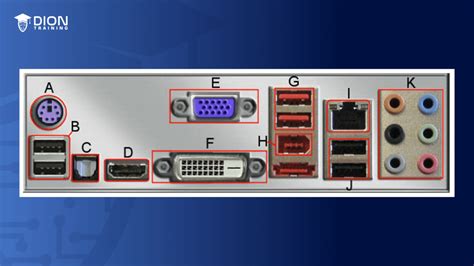 Port Cluster Labelling Diagram Quizlet