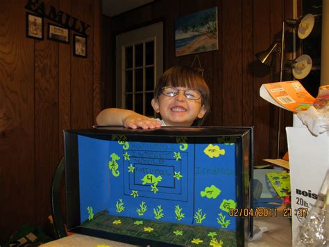 Real Number System Project Ideas