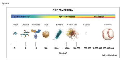 Nanometer Scale Comparison