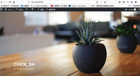 搭建wordpress 博客站点—实战篇 wordpress的servername csdn博客