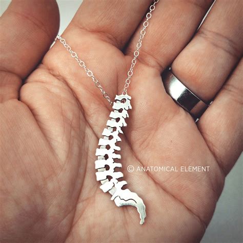 Anatomical Jewelry Illustrations And Other Goodies By Anatomicalelement