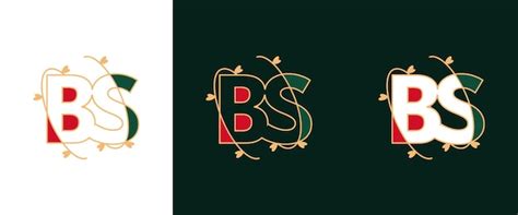 Logotipo Criativo De Letras Bs E Sb Com Conceito Floral De Beleza Vetor