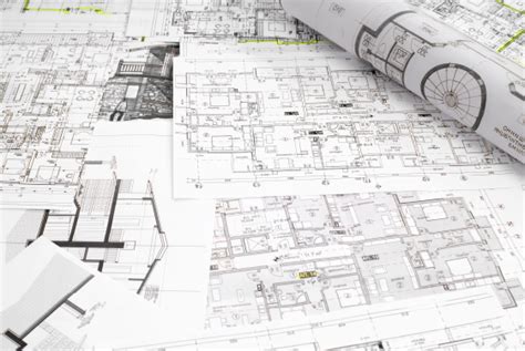 Tree Survey Services Arbor Tree Specialists