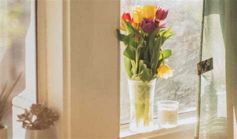 有关美好的可能性 「one · 一个」