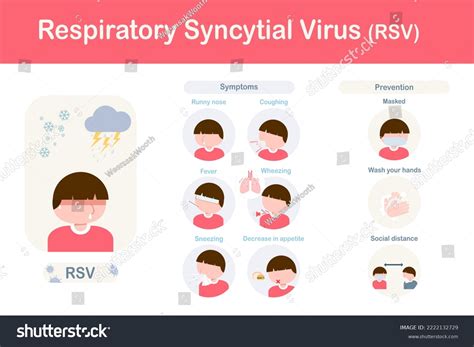 Infographic Symptoms Respiratory Syncytial Virus Rsv Stock Vector