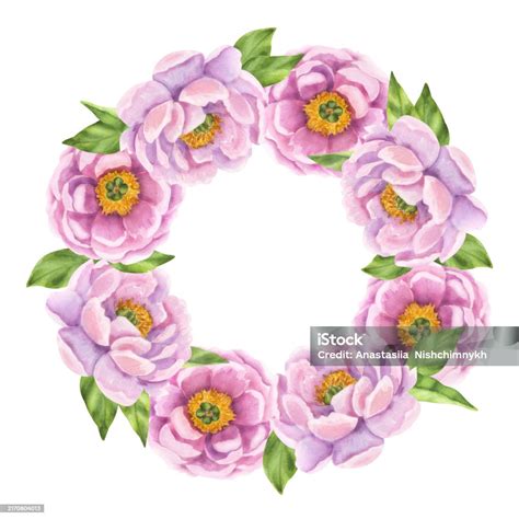 핑크 모란 라운드 리스 꽃 프레임 꽃 무늬 새싹과 녹색 잎 손으로 그린 수채화 그림 고립 된 배경 엽서 초대장 섬유 옷 인사말 카드 인쇄용 0명에 대한 스톡 벡터 아트 및