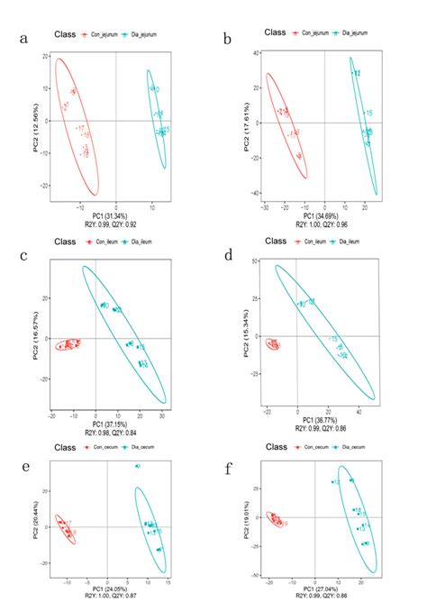 Partial Least Squares Discriminant Analysis Pls−da Was Used To