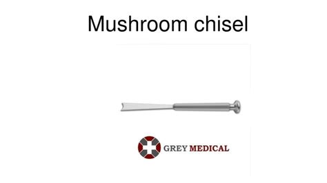 Ppt Mushroom Chisel Powerpoint Presentation Free Download Id13958891
