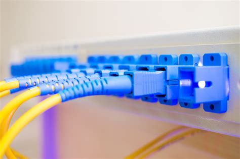 일괄 처리 전선 광섬유 분배 프레임에 연결 됩니다 고속 인터넷 연결의 개념입니다 선택적 초점 0명에 대한 스톡 사진 및 기타 이미지 Istock