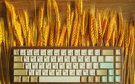 Exclusive Themed Keycaps Elevate Your Keyboard With Unique Designs