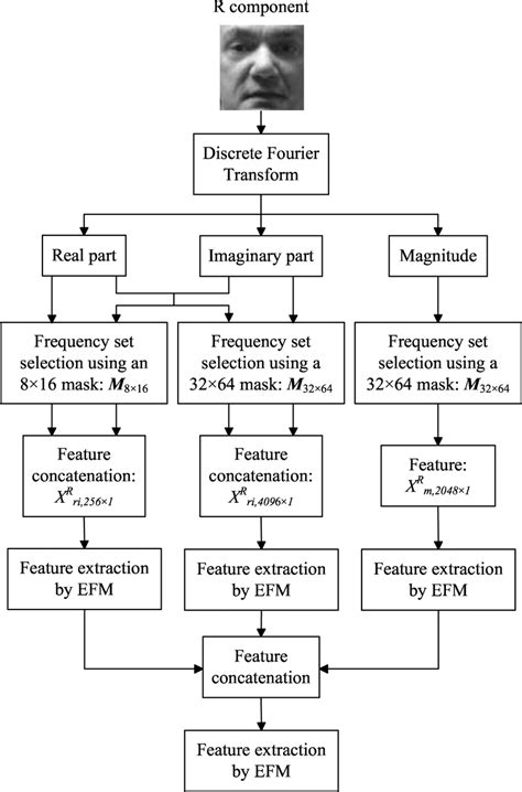 hybrid color and frequency feature extraction fusion and
