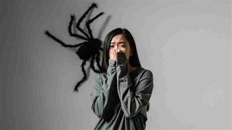 What Phobia Is A Fear Of Spiders At Lynda Rahman Blog