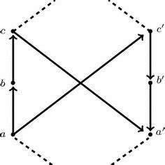 The Graph Of The Orthogonal Relational System Download Scientific Diagram