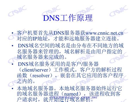 dns及idn介绍 cnnic注册服务部 2001年10月 ppt download