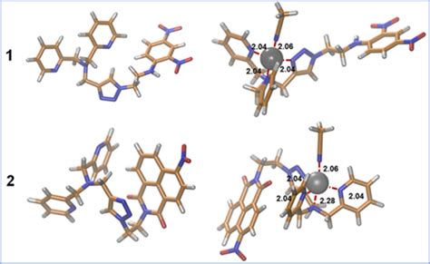Optimized Structures Of Sensors 1 And 2 In The Unbound And Zn 2 Bound Download Scientific