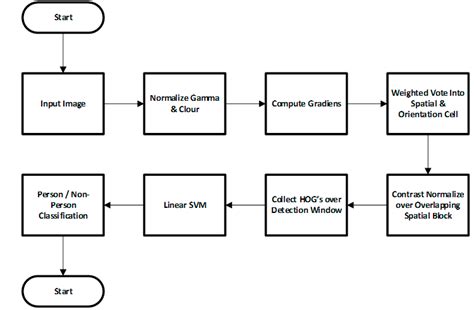 Human Detection Process Download Scientific Diagram