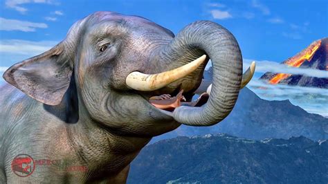 A Nude Version Exists Does Anyone Have Elephant Vore ThisVid Com