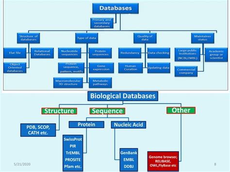 Bioinformatics Applications And Challenges Ppt