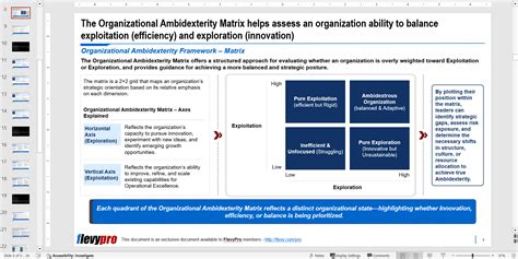 Organizational Ambidexterity Framework