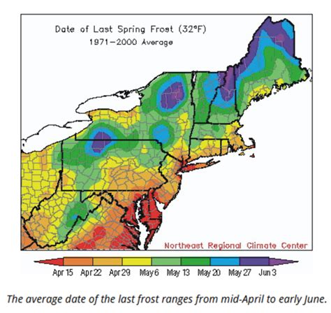 Cornell Cooperative Extension Cornell Vegetable Gardening Resources