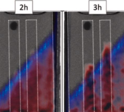 Direct Proton Range Verification Using Oxygen 18 Enriched Water As A