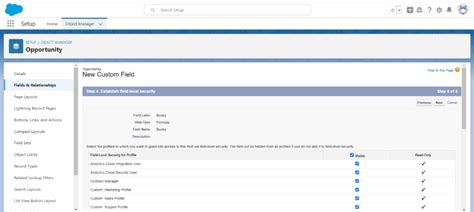 Salesforce Admin Formula Fields Free Course