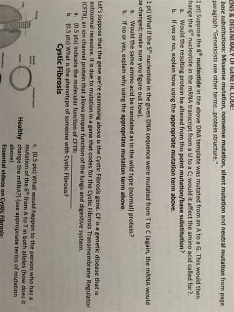 Solved Base Substitutions Missense Mutation Nonsense