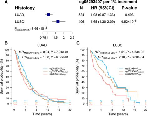 Methylation And Histology Interaction On Survival Of Nsclc Patients Download Scientific